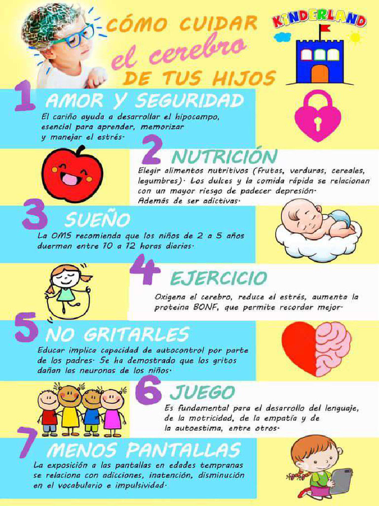 Como Cuidar El Cerebro De Tu Hijo Pdf