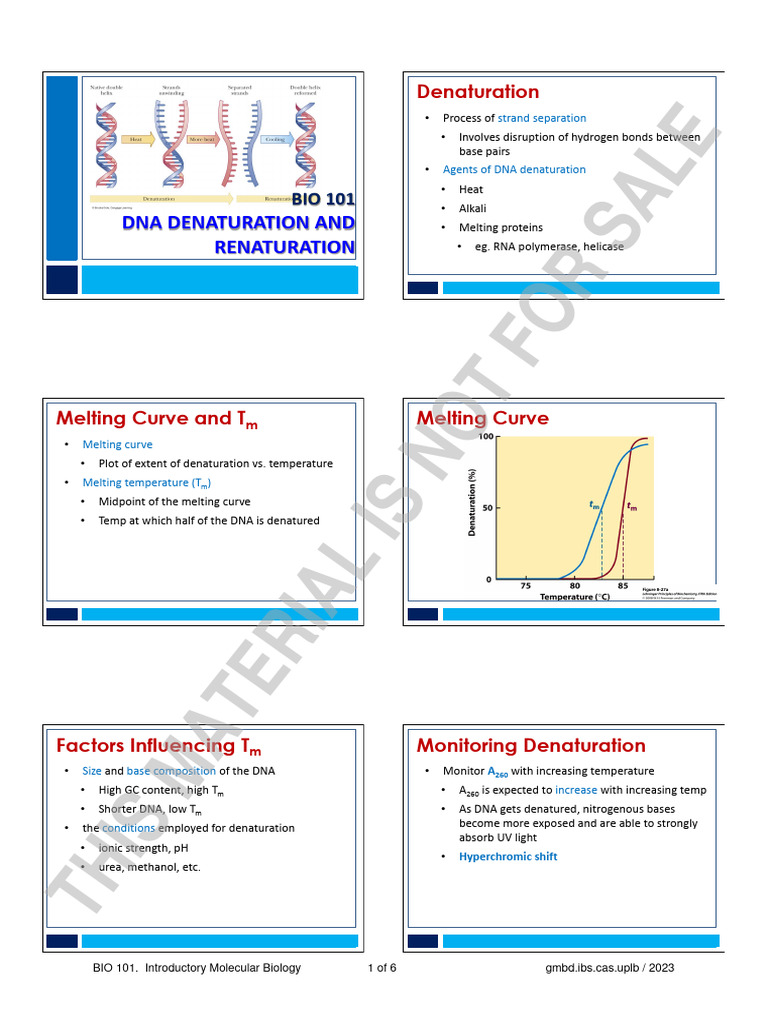 BIO101 Lec 04-DNA Denaturation and Renaturation - v2 | PDF | Southern Blot | Blot (Biology)