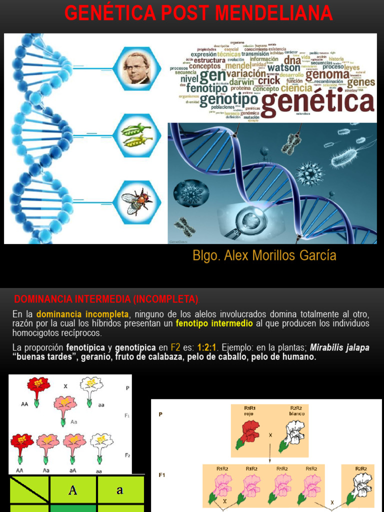 Genética Post Mendeliana | PDF | Tipo de sangre | Alelo