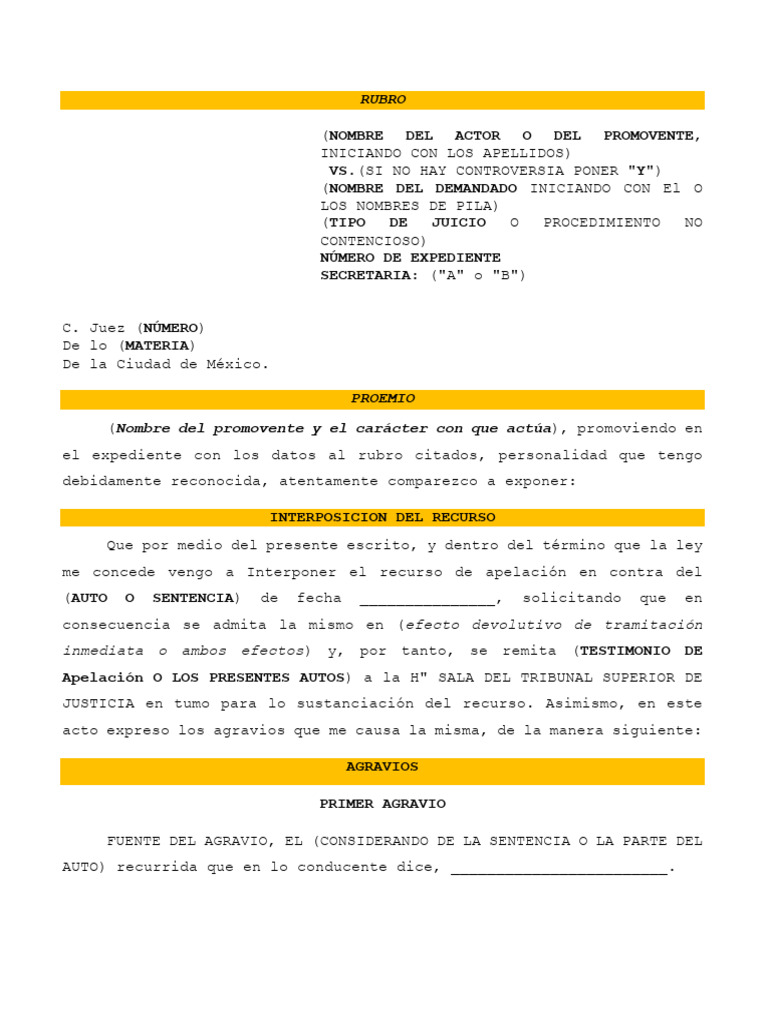 Estructura de Un Recurso de Apelacion. | PDF | Apelación | Sentencia (ley)