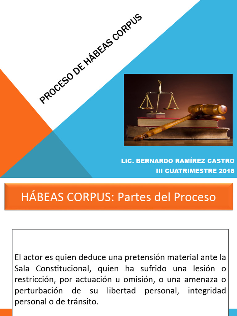 Partes y Proceso de Hábeas Corpus | PDF | Habeas corpus | Sentencia (ley)