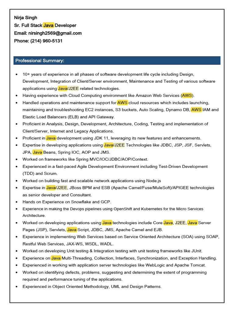 Dice Profile Nirja Singh Highlighted | PDF | Spring Framework | Angular Js