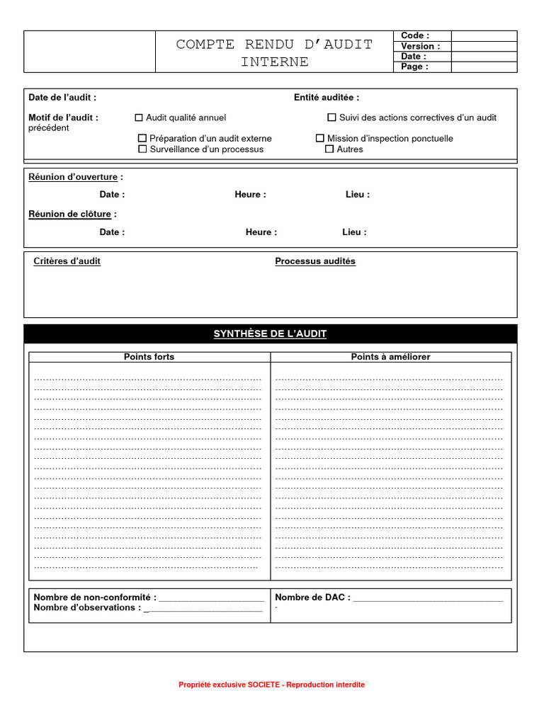 Rapport d'Audit Interne Complet | PDF