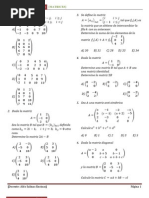 Ejercicios Resueltos de Matrices | PDF | Matriz (Matemáticas) | Objetos ...