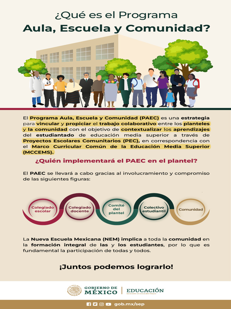 Que Es El PAEC (Infografía) | PDF
