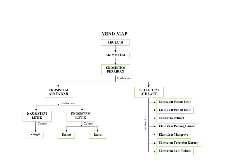 Mind Map Ekosistem Laut dan Pantai | PDF | Sains & Matematika
