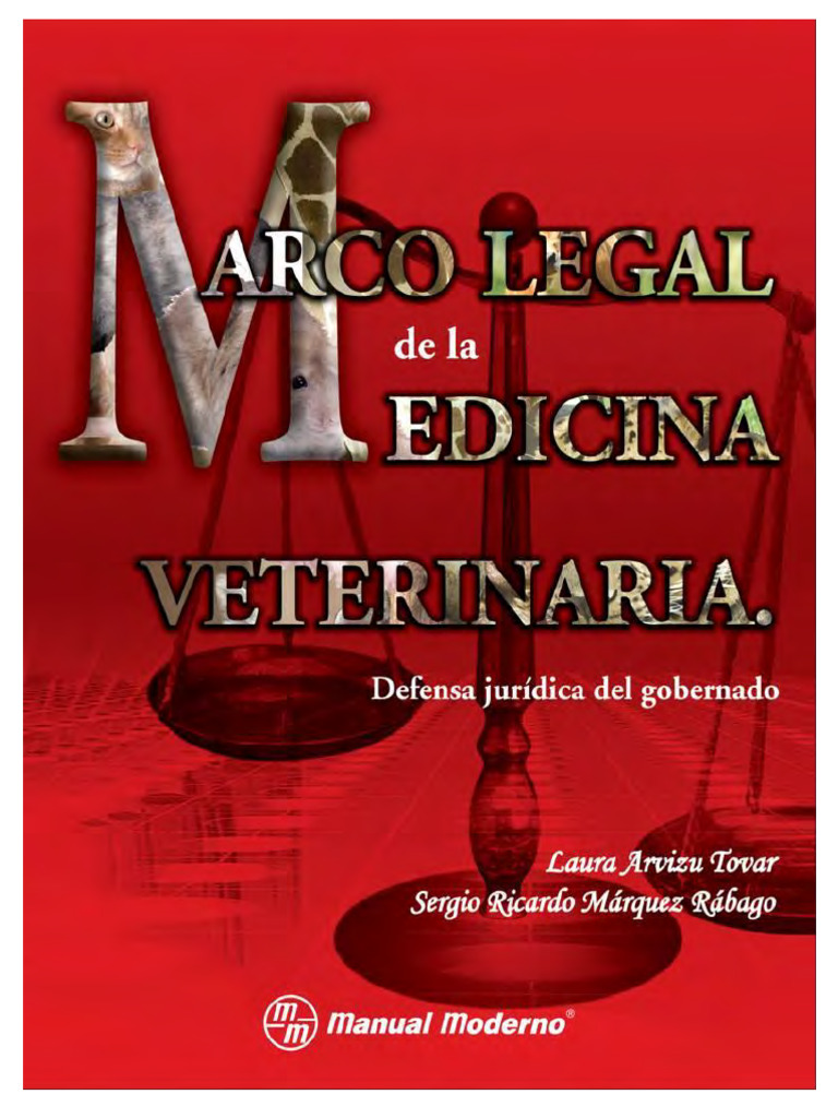 1 Libro Marco Legal Arvizu | PDF