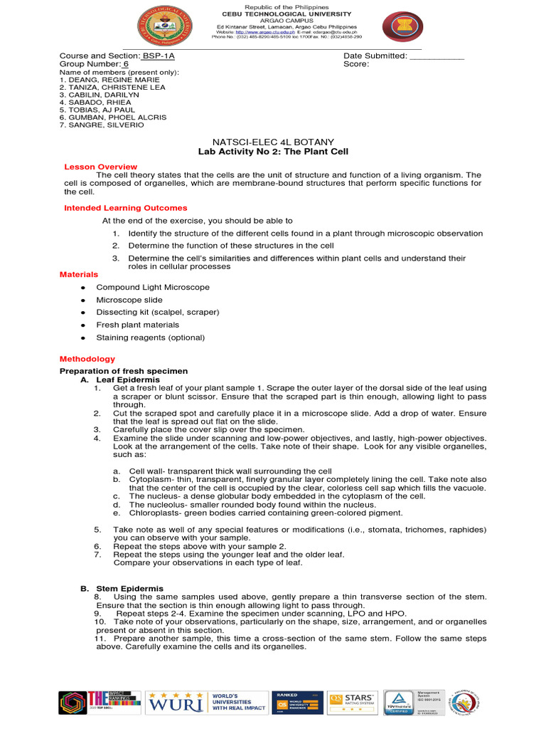 Plant Cell Microscopy Lab Report | PDF | Cell (Biology) | Photosynthesis