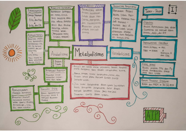 Mind Map Metabolisme Hasil Akhir - AndreasRenoArmadona - 3 - XIIA1 | PDF