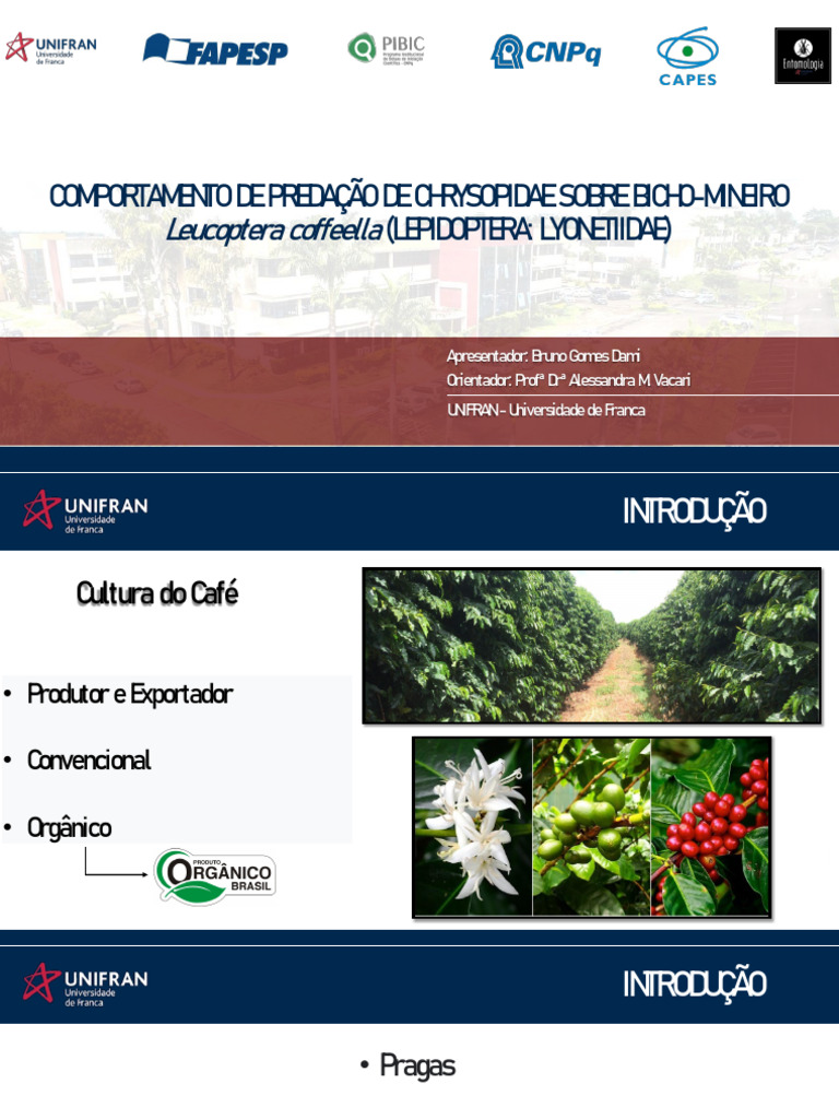 Bruno Gomes Dami - TCC | PDF