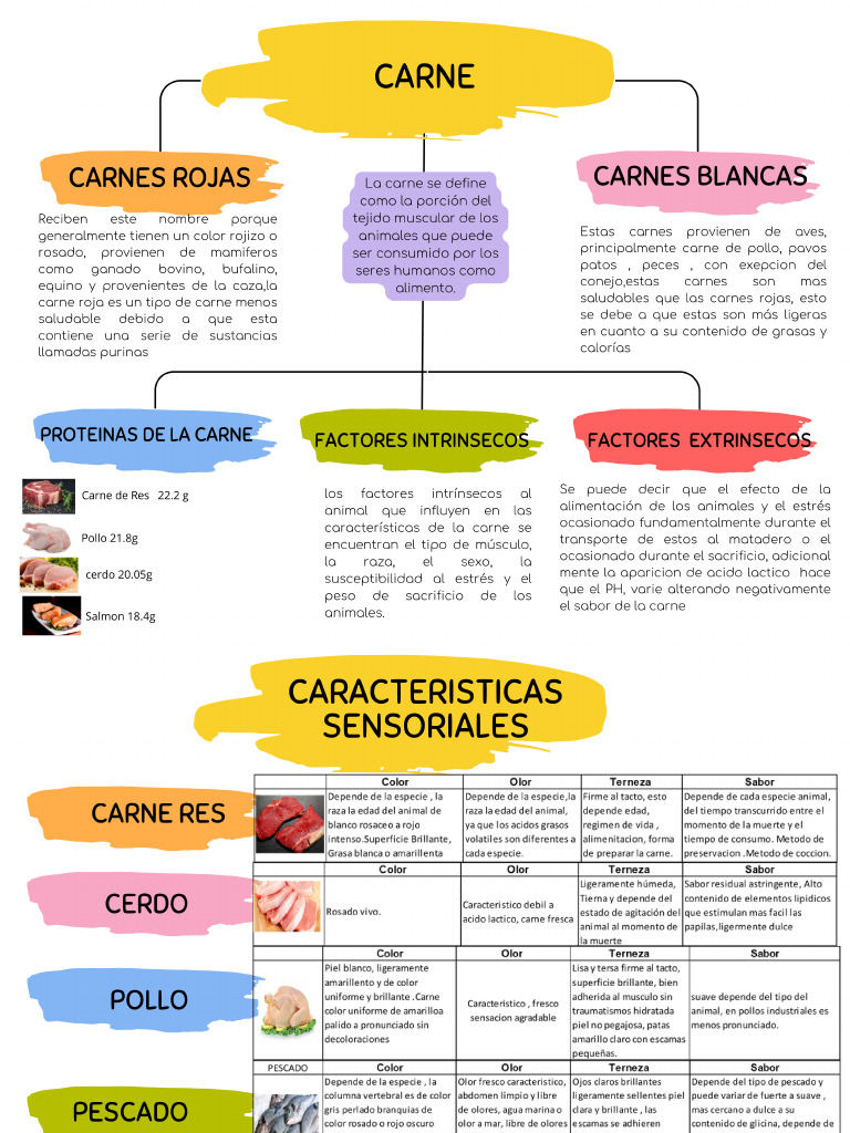 Mapa Conceptual Generalidades de la Carne | PDF