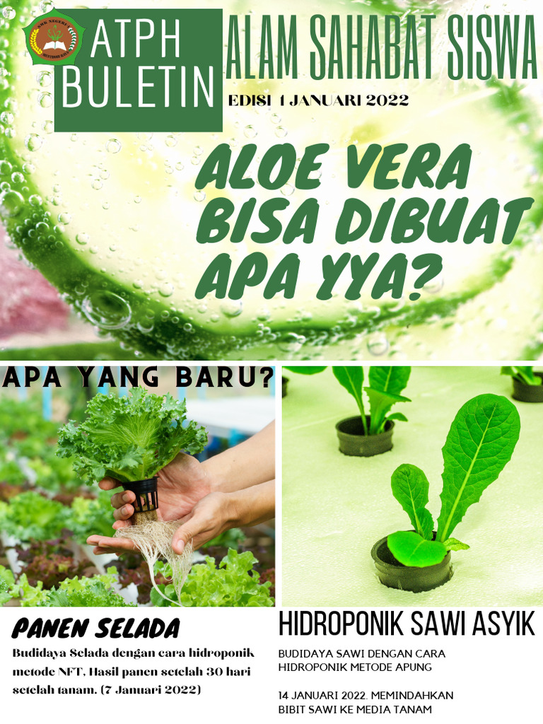 Buletin | PDF