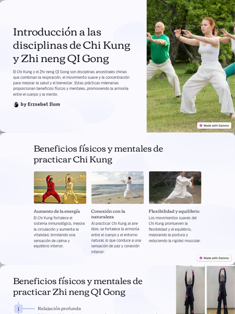 Introduccion A Las Disciplinas de Chi Kung y Zhi Neng QI Gong | PDF | Qigong | Qi