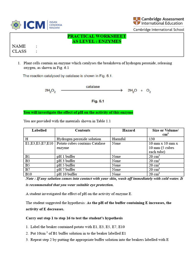 Practical Activity of Enzyme AS LEVEL | PDF | Ph | Buffer Solution