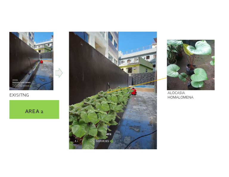 Landscape Ke Towers 3 | PDF