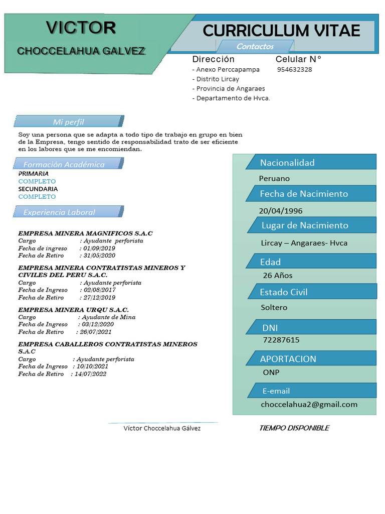 Victor: Curriculum Vitae | PDF | Perú