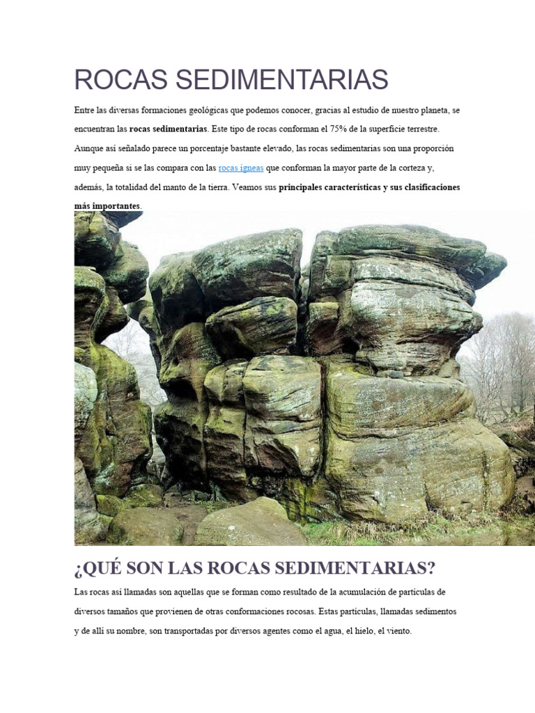 Características de las Rocas Sedimentarias | PDF | Roca sedimentaria ...