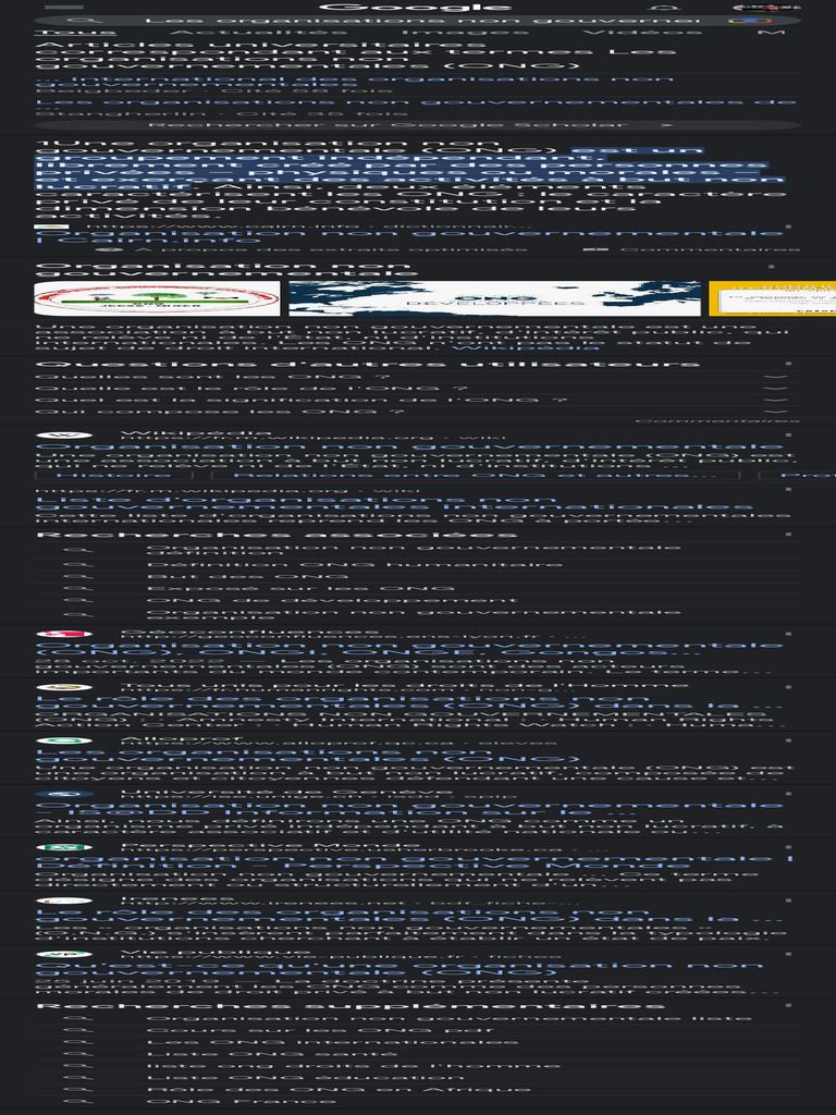 Les Organisations Non Gouvernementales (ONG) - Recherche Google | PDF ...