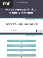 Test de Farnsworth: Evaluación Visual | PDF | Medicina CLINICA