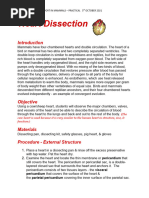 Sheep Heart Dissection Lab | PDF