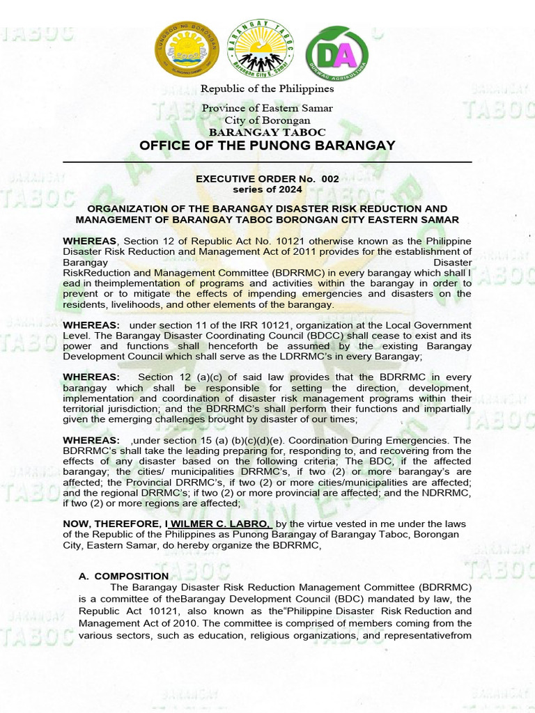 002-2024-Creation-and-Organization-of-BDRRMC | PDF | Emergency ...