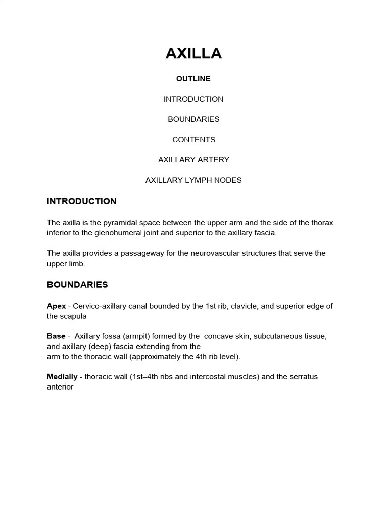AXILLA | PDF | Arm | Angiology AXILLA | PDF | Arm | Angiology