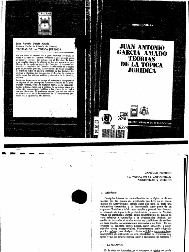 Teorías de La Topica Jurídica. Juan Antonio García Amado | PDF | Dialéctico | Verdad