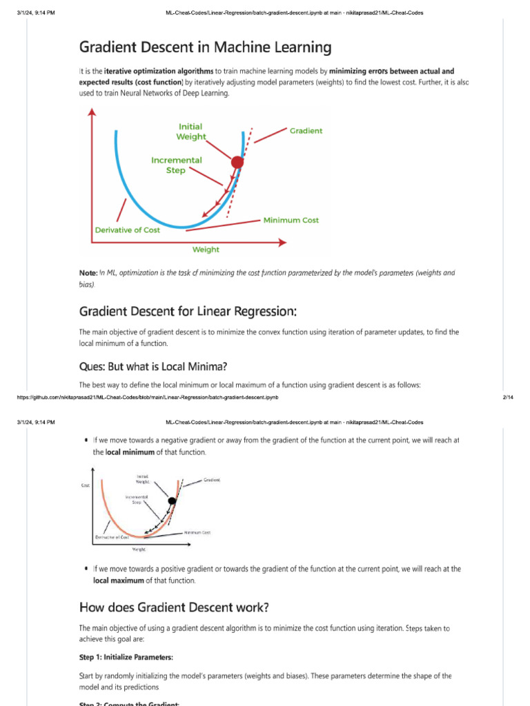 Nikita_Prasad_Gradient_Descent_Basics_1709643108 | PDF