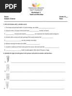 Class 3 EVS Worksheets | PDF | Leaf | Plants
