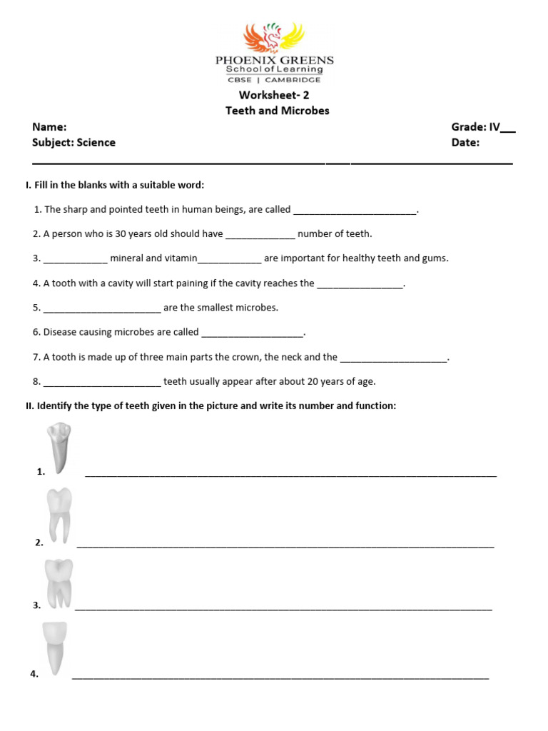 Teeth and Microbes | PDF | Tooth | Medical Specialties