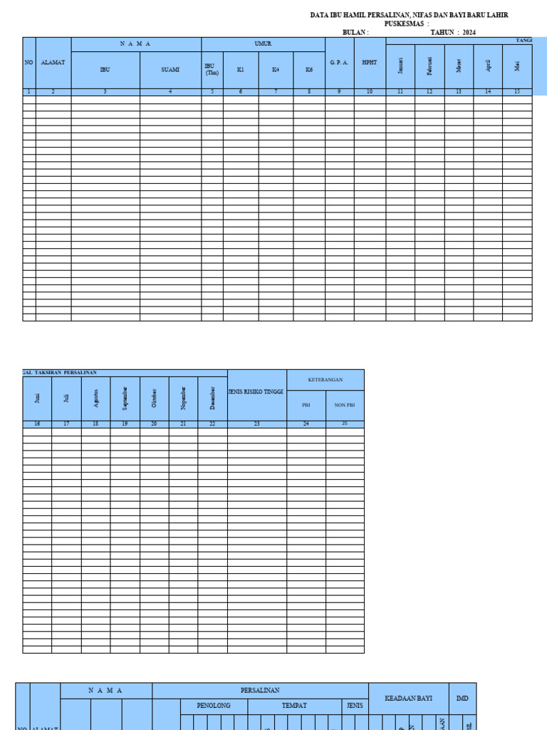 Pemantauan Bumil Bulin Bufas Bbl2 2022 | PDF