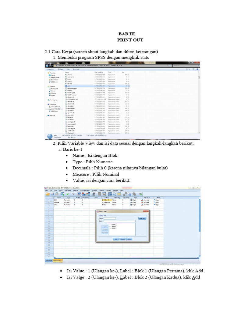 Panduan SPSS untuk Uji ANOVA | PDF