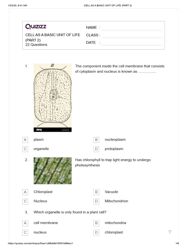 Initial Assement of Cell As A Basic Unit of Life (Part 2) | PDF | Cell ...