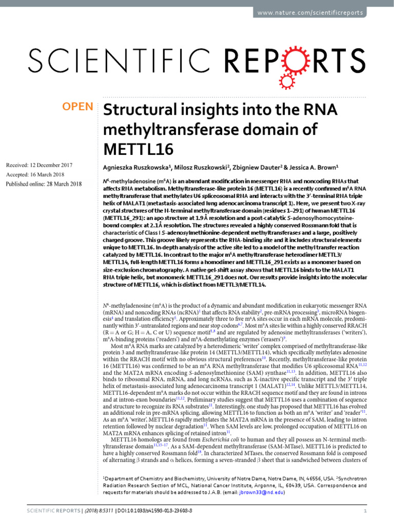 Structural Insights Into The RNA Methyltransferase Domain of METTL16 ...