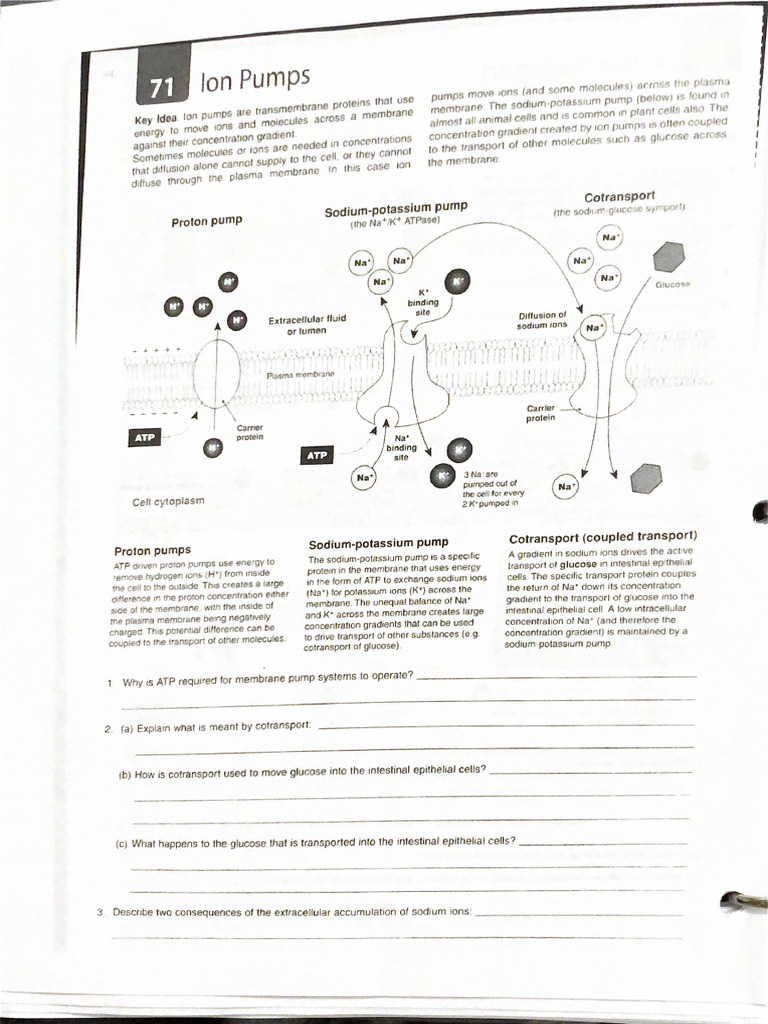 Ion Pumps | PDF