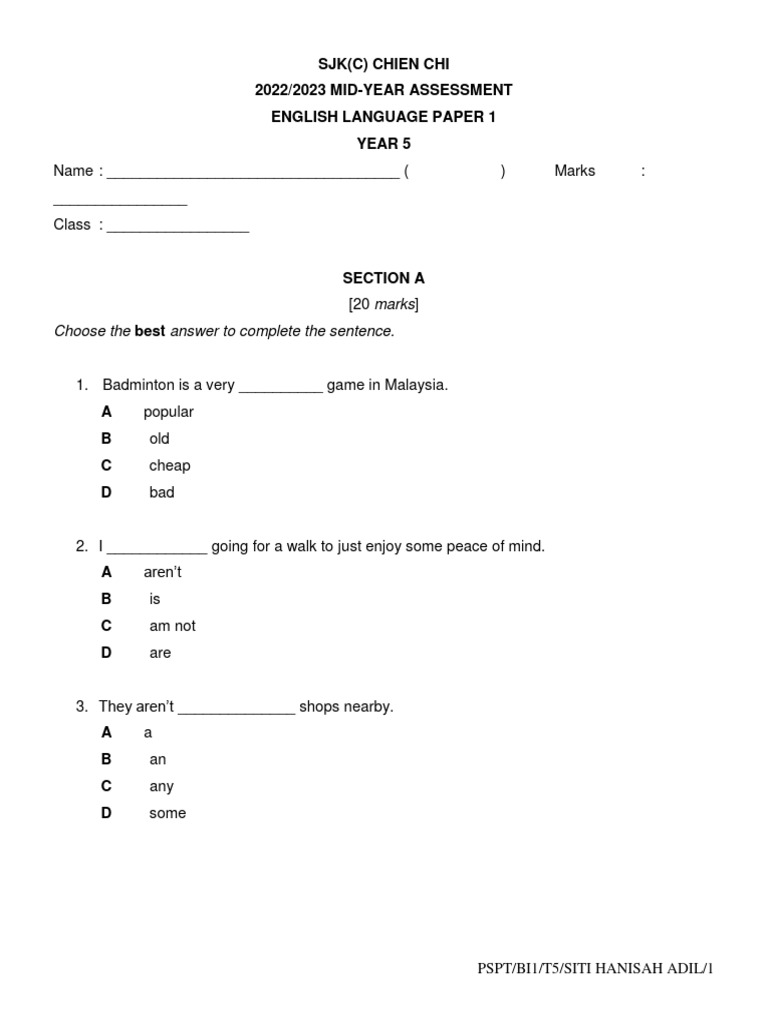 English Y5 Paper 1 2022 June Assessment | PDF