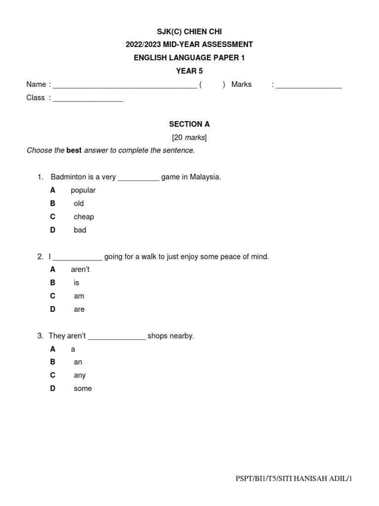 English Y5 Paper 1 2022 June Assessment | PDF