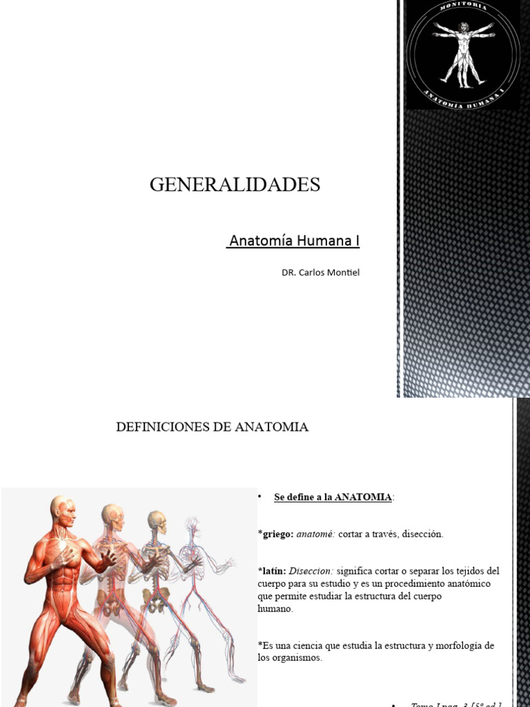 2 GENERALIDADES | PDF | Hueso | Esqueleto