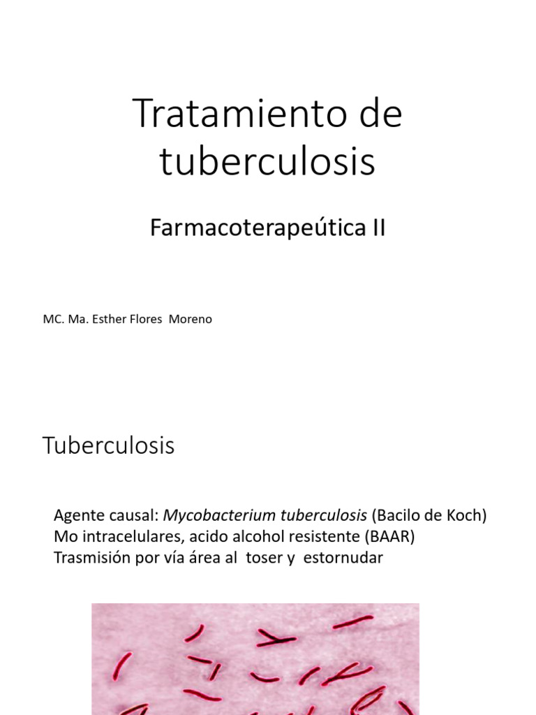 FT de Tuberculosis 2 | PDF | Tuberculosis | Tratamientos médicos