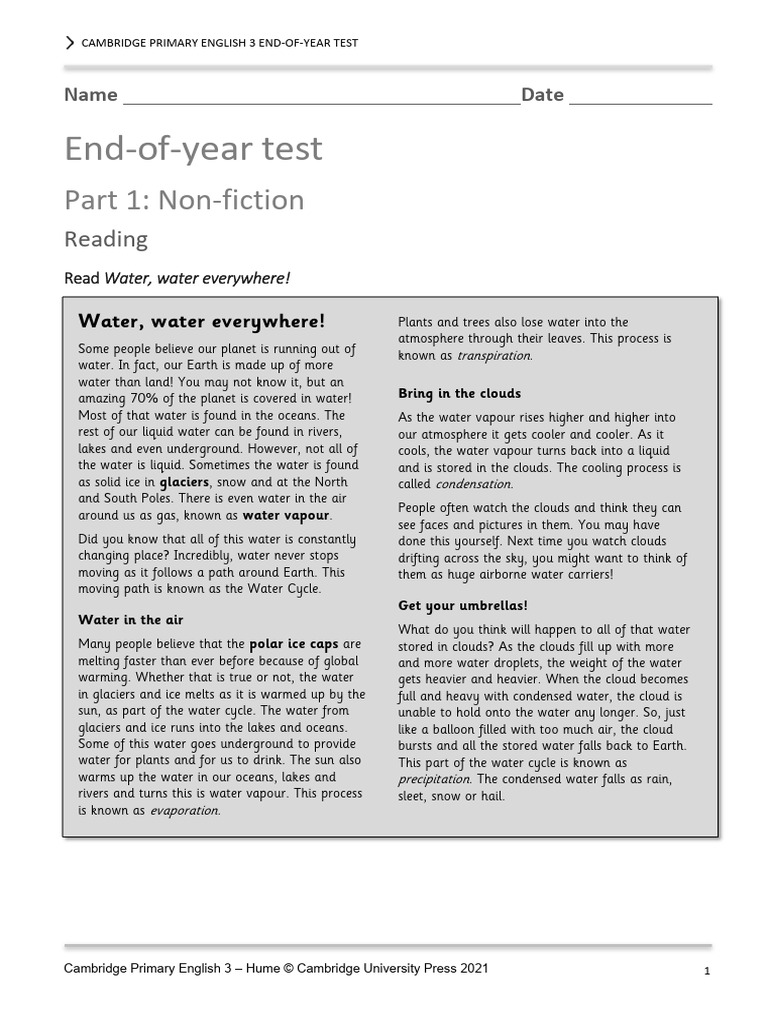 Grade 3 English End-of-Year Test | PDF