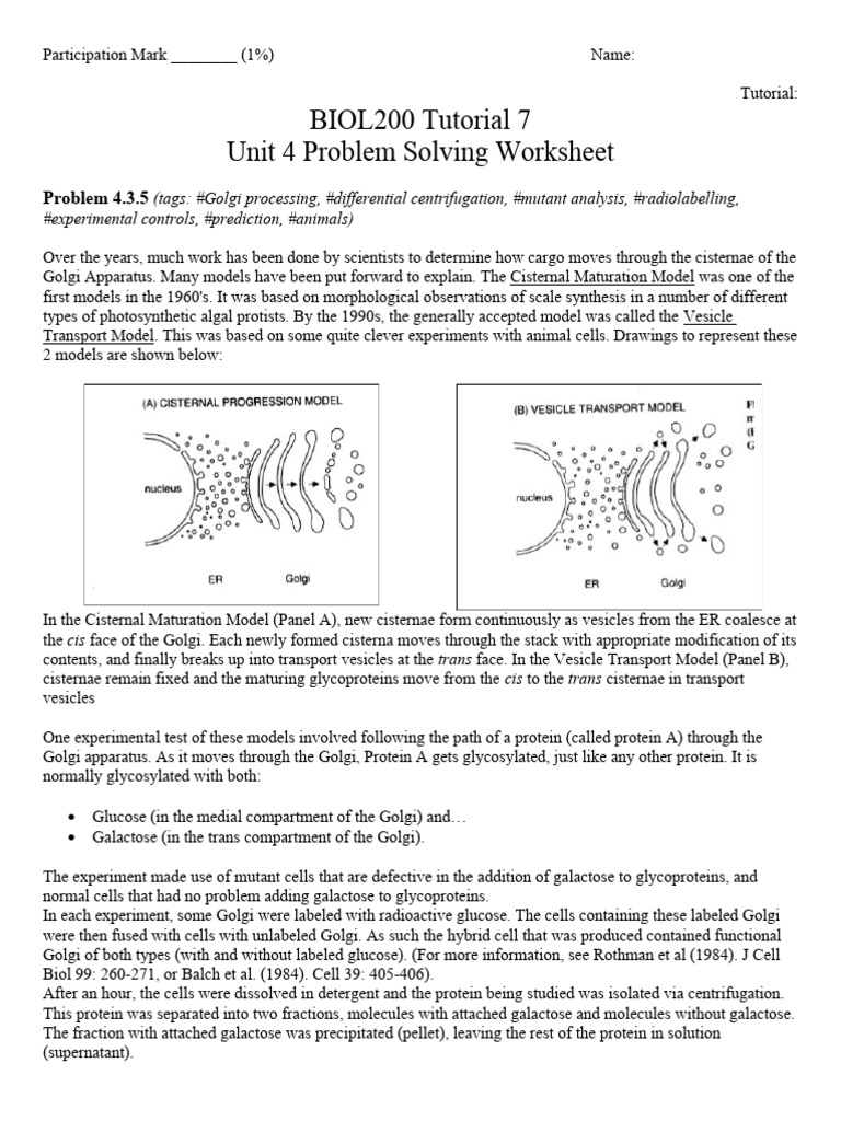 Tutorial 7 Worksheet | PDF | Cytoplasm | Cell Biology