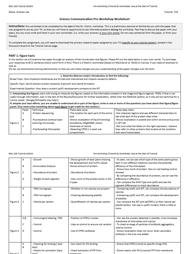 Pre Workshop Worksheet | PDF