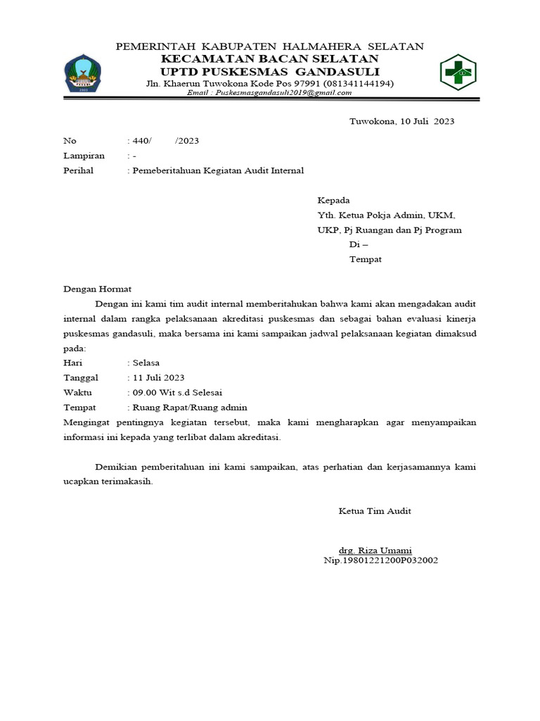 Surat Audit Internal | PDF