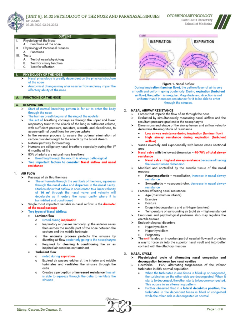 [Unit 6] m.02 Physiology of the Nose and Paranasal Sinuses | PDF ...