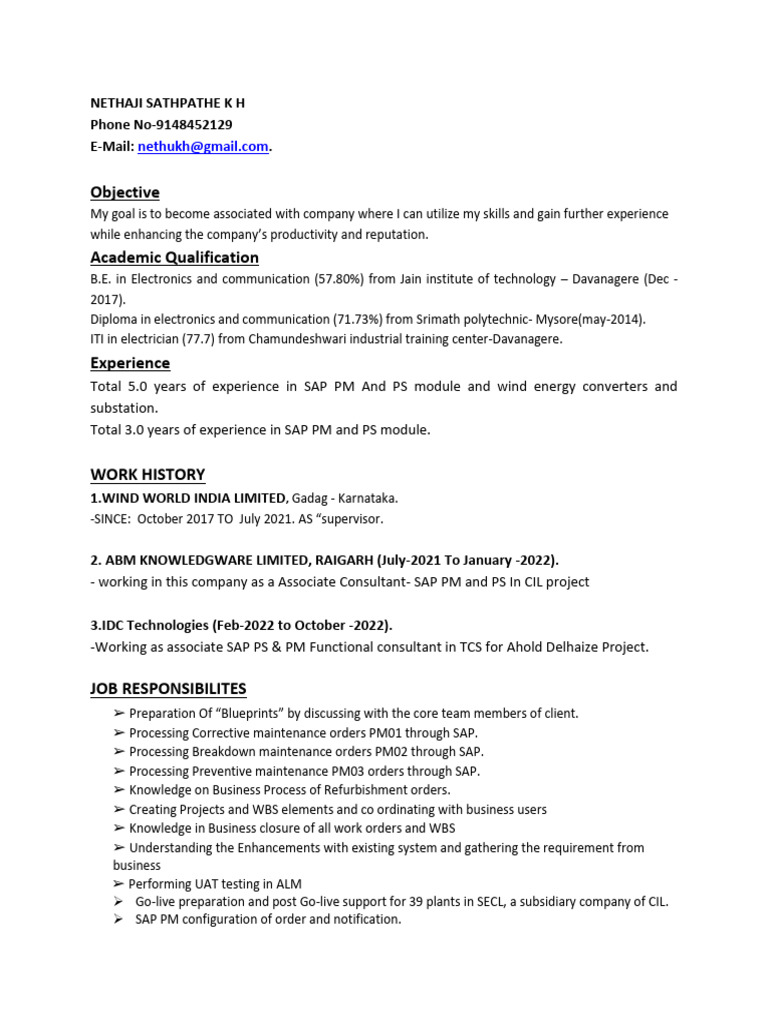 Nethaji Saythpathe CV - 2023 | PDF | Business | Computing