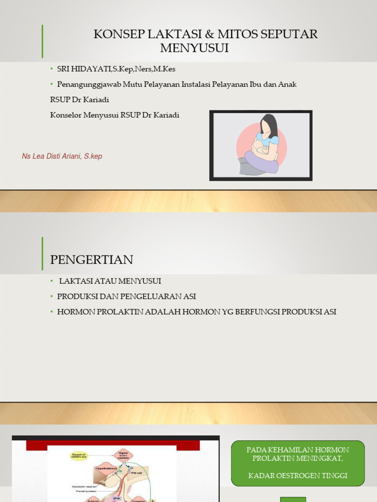 Konsep Dan Manfaat Laktasi - Mitos Seputar Menyusui | PDF