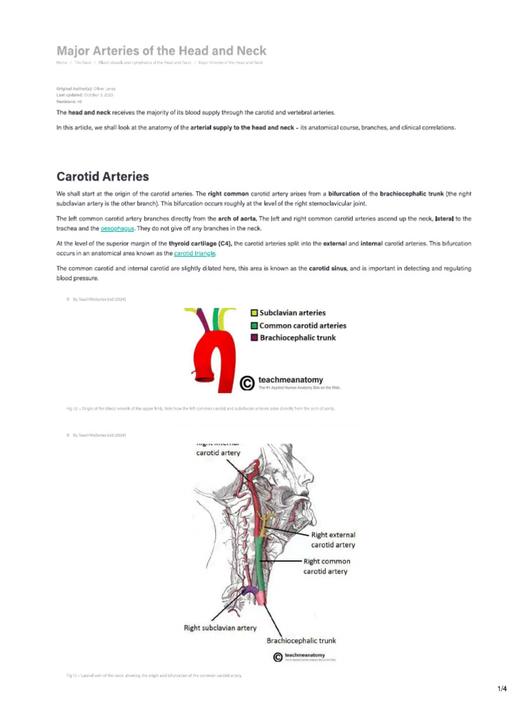 Carotid Arteries (Techmeanatomy) | PDF