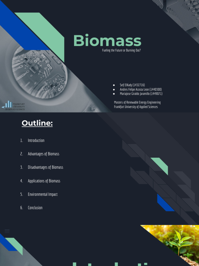 Biomass Presentation | PDF | Biofuel | Agriculture