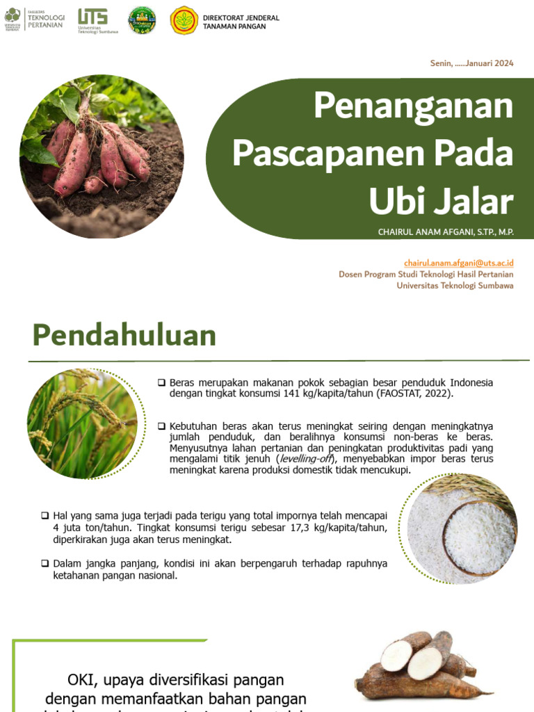 Propaktani Ubi Jalar | PDF