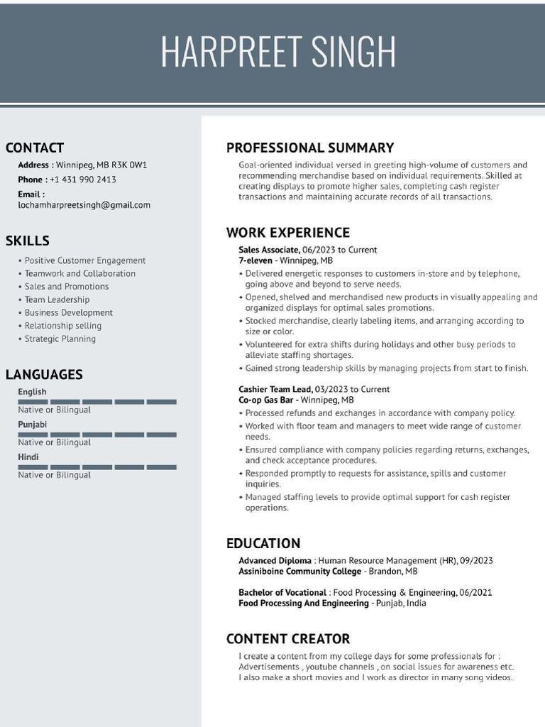 Harpreet's Resume 2024 | PDF